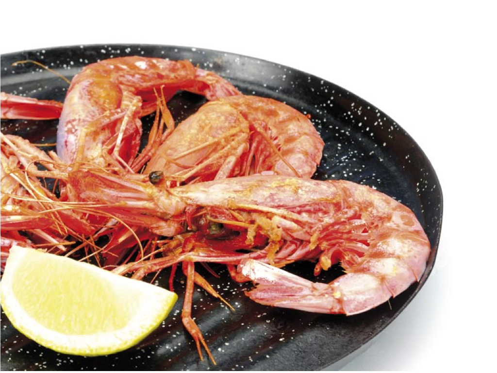 Pioneros de la gamba roja Shrimp pioneering | Dénia – Creative City